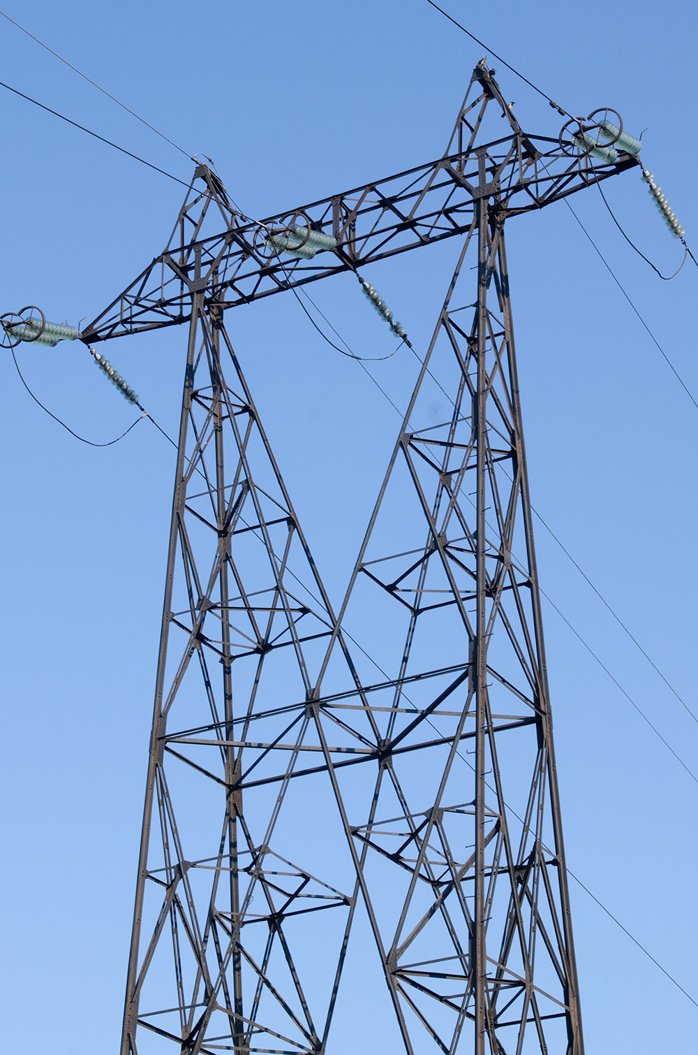 Electricity – Nala Municipality